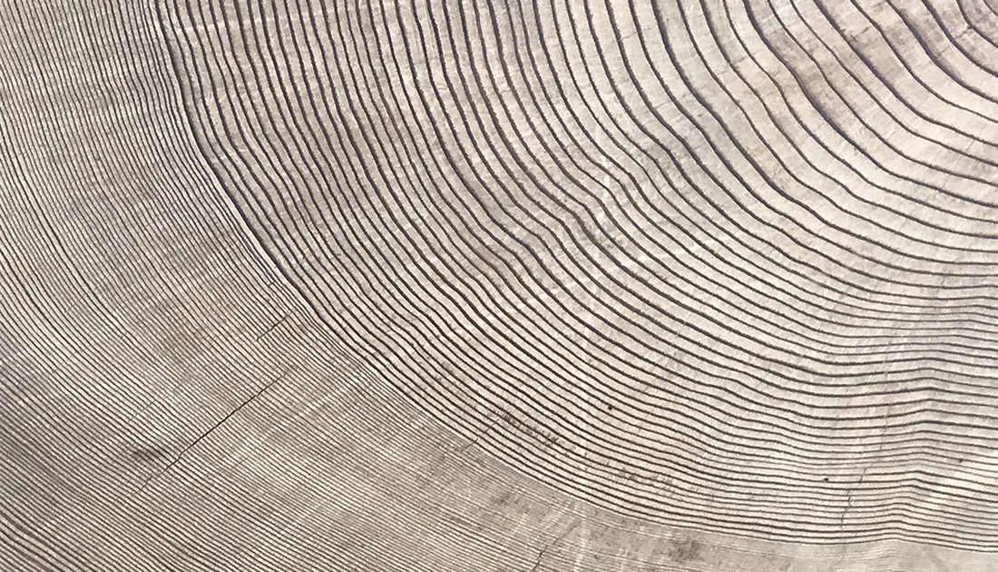 Performing Dendrochronology: Tree-Ring Music for Three Woodwinds ...