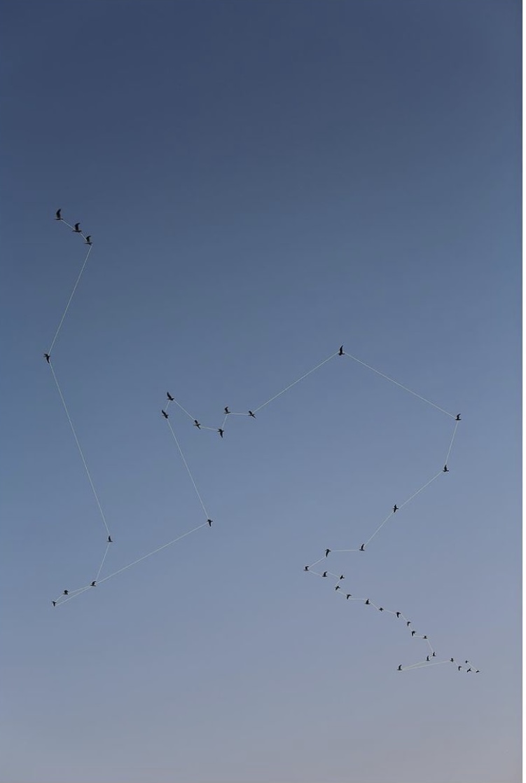 CCP Instagram series highlights student photographic work - Arizona Arts