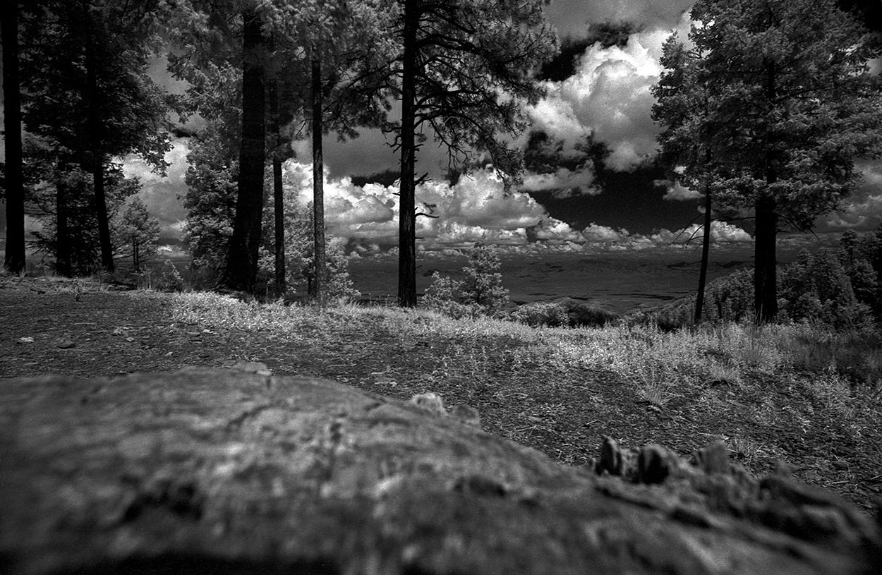 Meet Maya Jackson: A landscape-based, conceptual photographer - Arizona ...