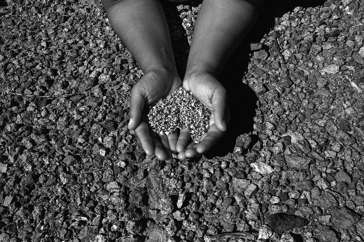 Meet Maya Jackson: A landscape-based, conceptual photographer - Arizona ...